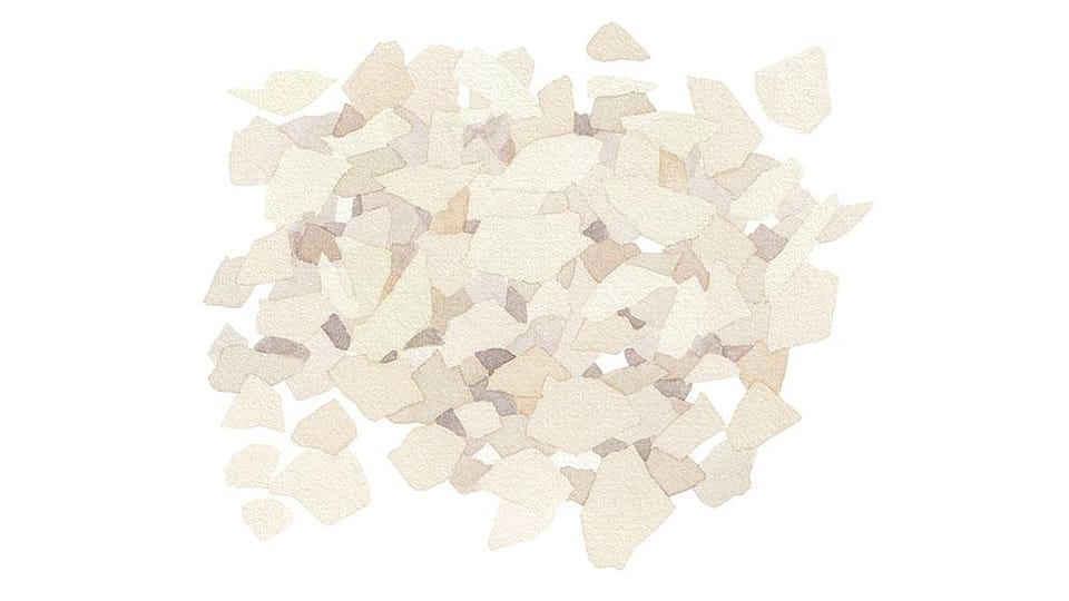 Hydrogenated Castor Oil - Weleda